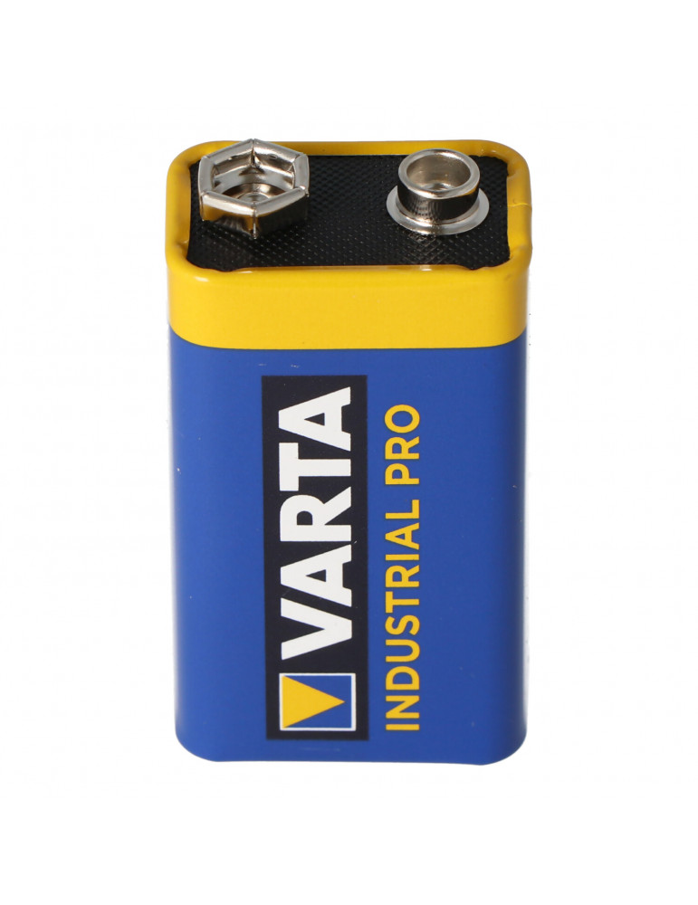 VARTA INDUSTRIAL Pile alcaline 9V 1,5V 6LR61 4022 le pack de 20 piles